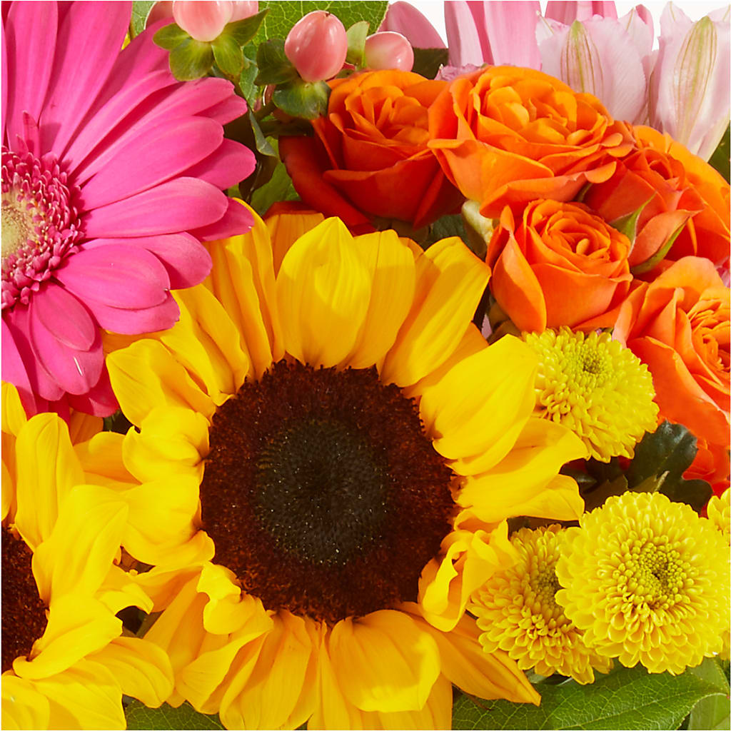 York Florist | Same Day Flower Delivery by The Owls Nest Florist